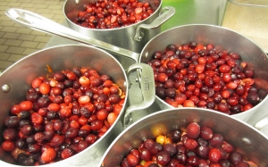 Decolonizing The Native Indian Diet - PopularResistance.Org