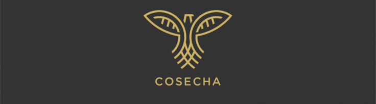 Immigrant Leaders Call For 'Driving Without Fear' Campaign On May 1st ...