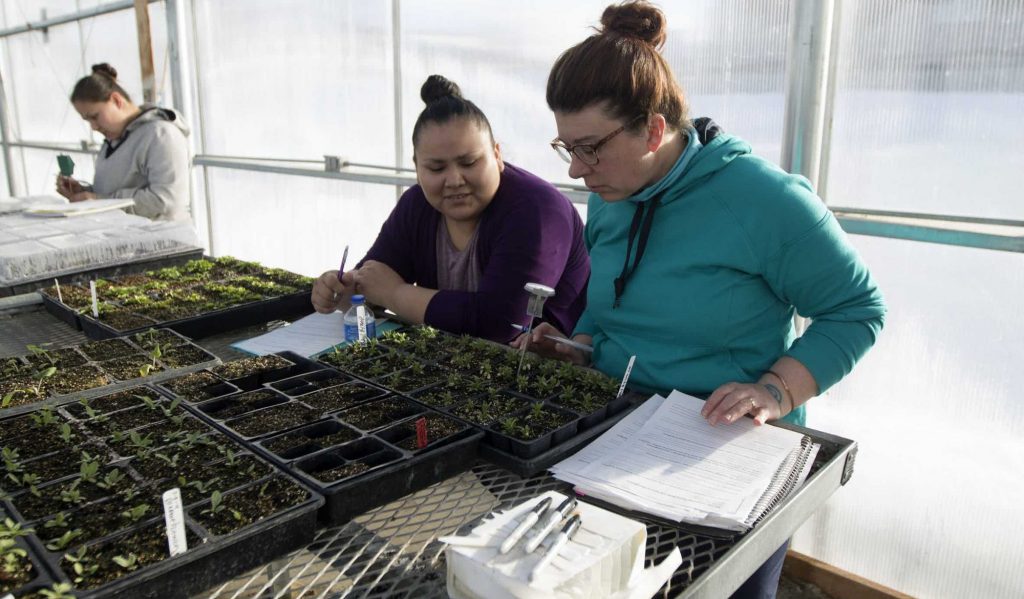 'Trying To Teach Ourselves' Deep-Rooted Knowledge - PopularResistance.Org