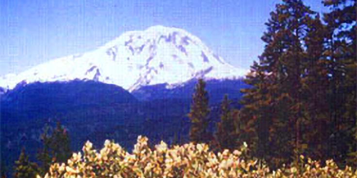 Yakama Nation Acquires Inaba Produce Farms - PopularResistance.Org