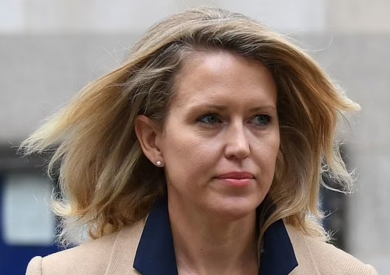 Assange's Lawyer Has Reached A Settlement With The Government ...