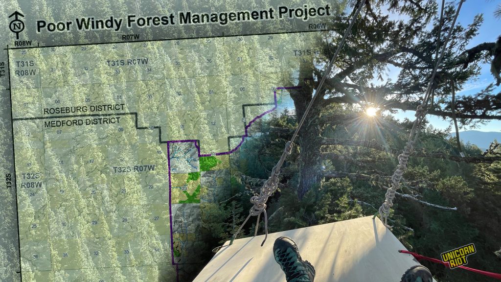 Forest Defenders Launch Tree Sit To Stop Old Growth Logging ...