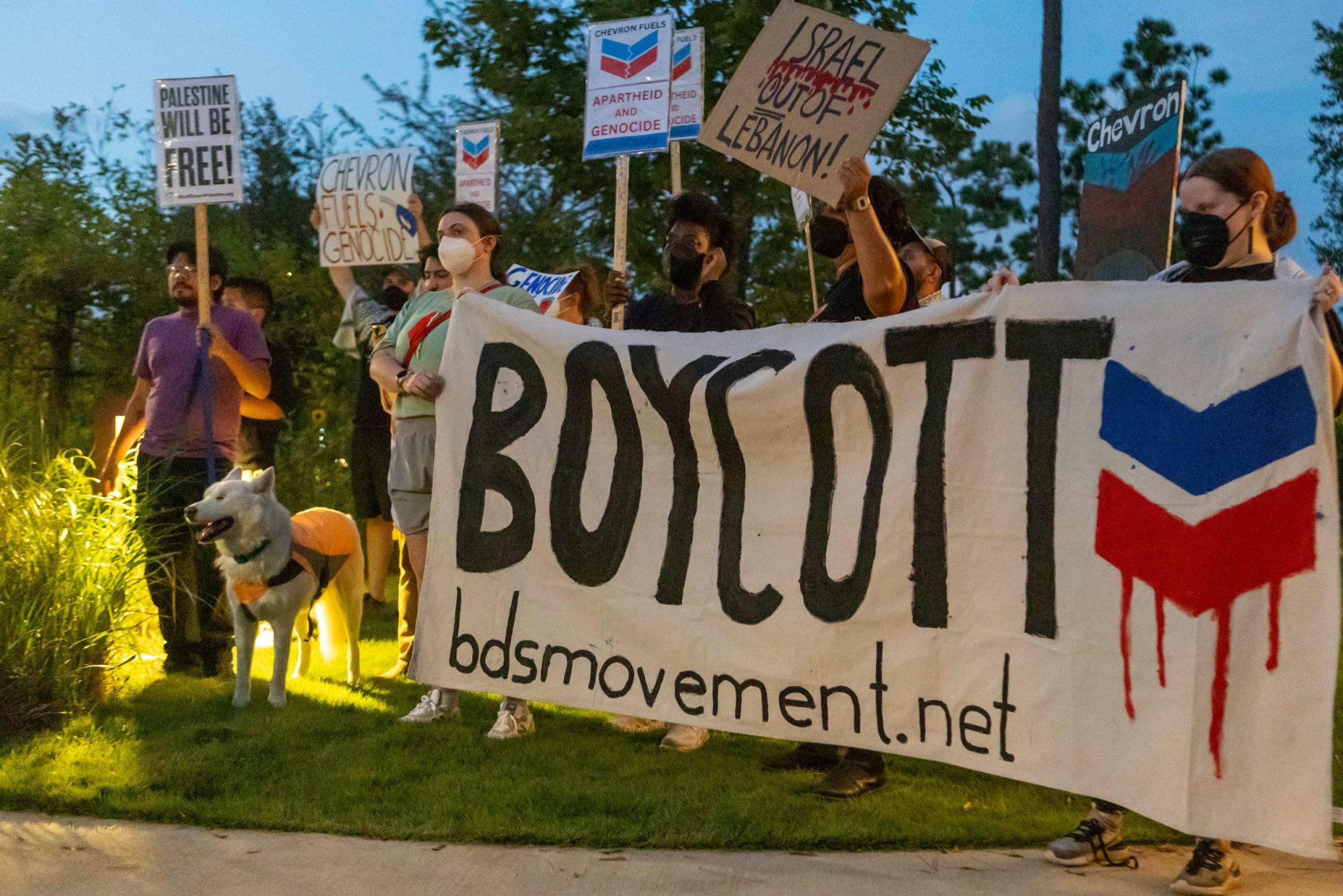 The BDS Movement Renews Its Campaign Against Chevron ...