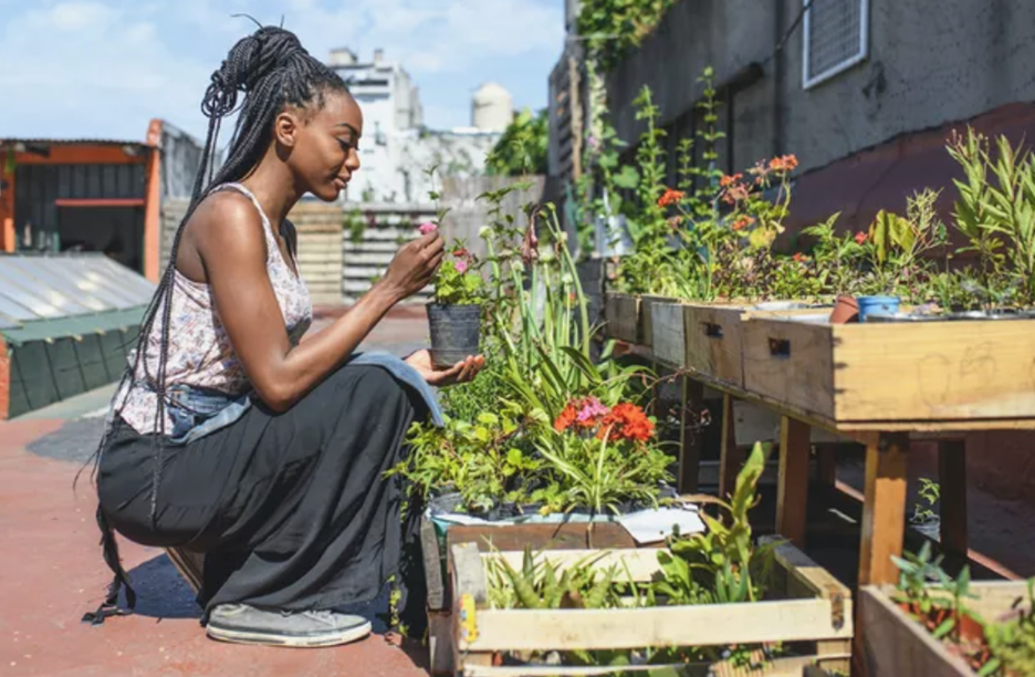 Urban Gardens Can Bolster American Democracy - PopularResistance.Org