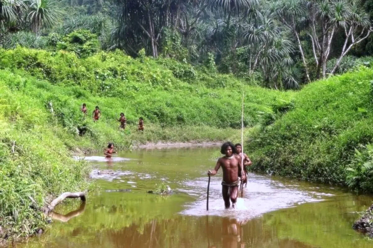 The Clean Energy Transition’s Indigenous Sacrifice Zones ...